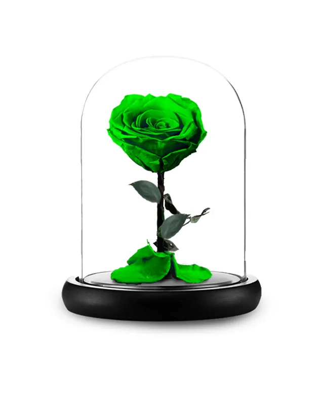 Green Eternal Rose - Dubai