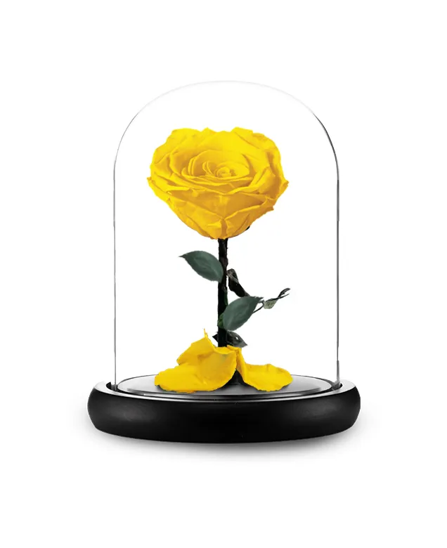 Yellow Eternal Rose - Dubai